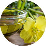 Oenothera biennis (evening primrose) oil